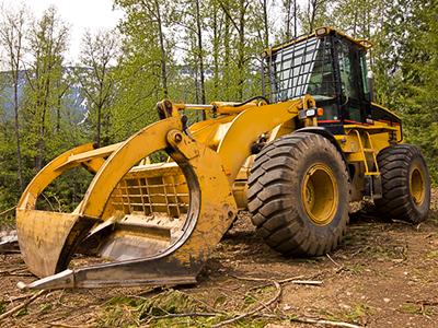 Used Forestry Machines & Equipment For Sale - Mascus UK